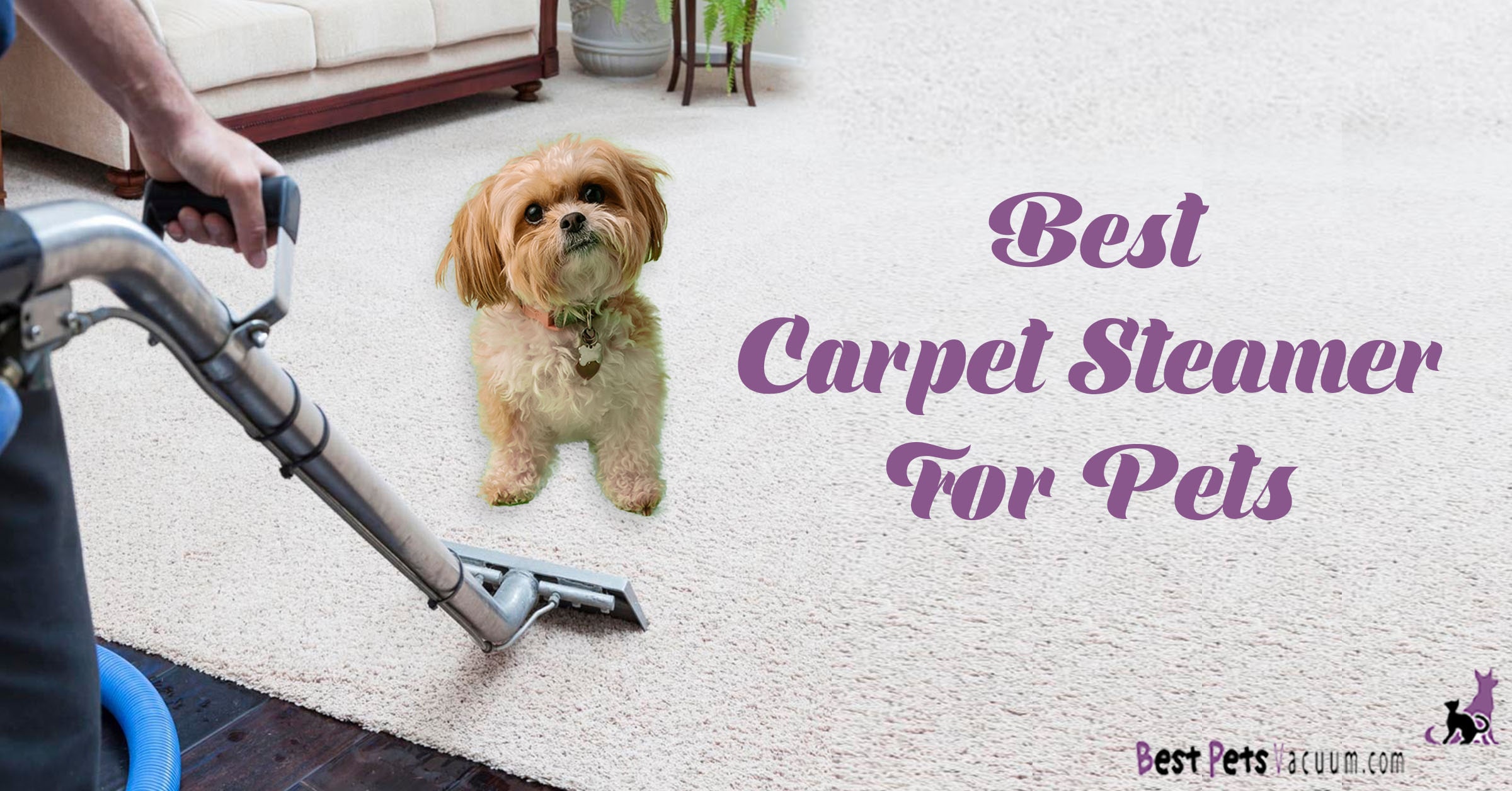 best carpet steamer for pets | best carpet cleaners