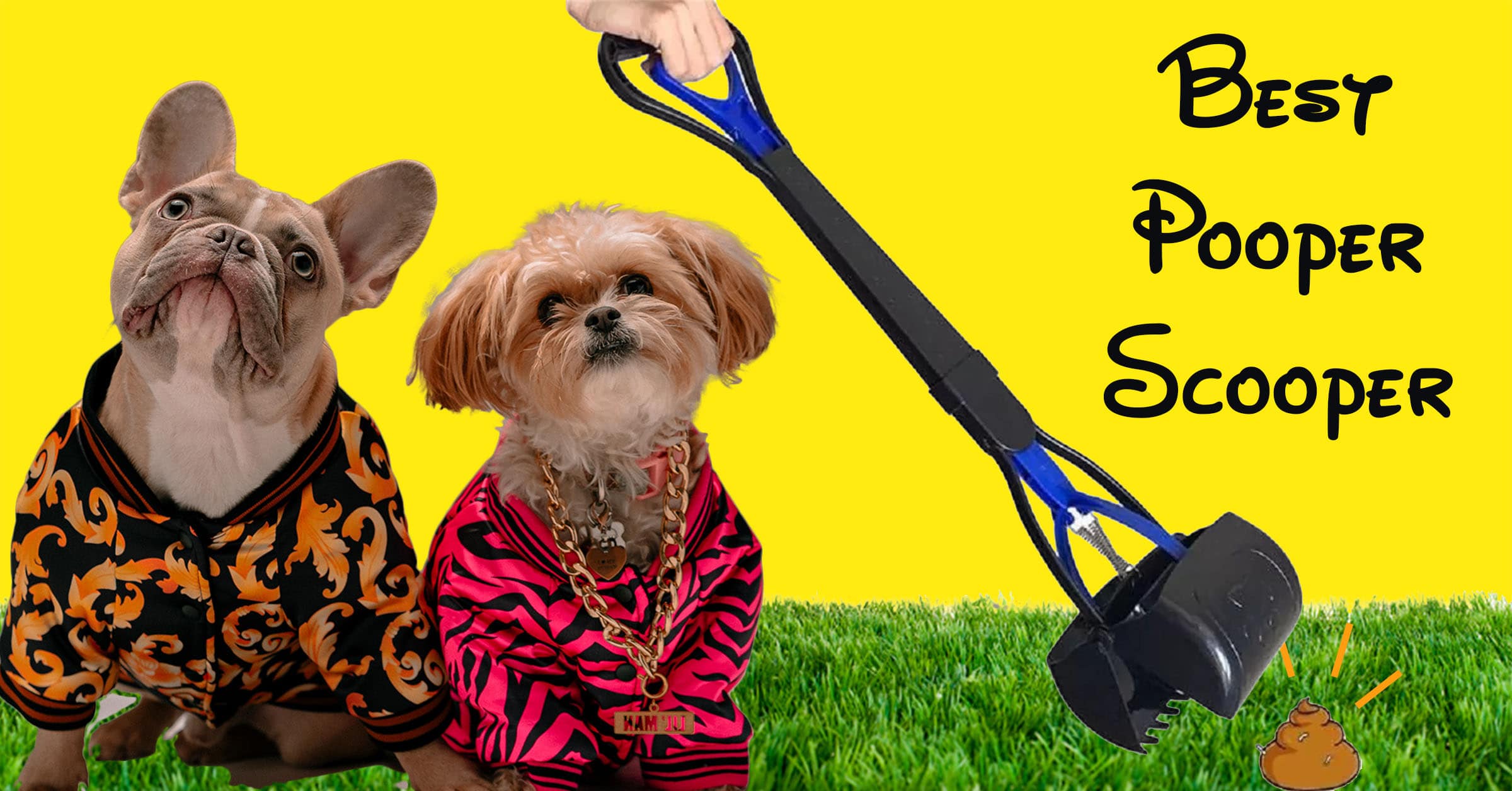 best pooper scooper | poop | top